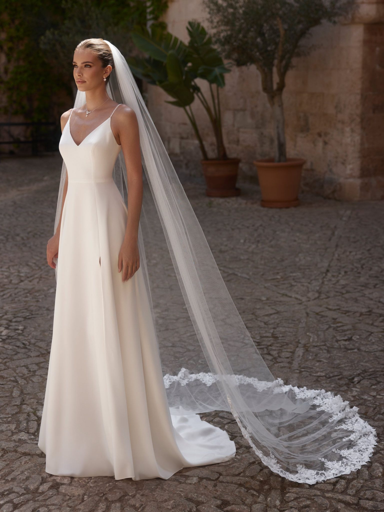 Cathedral Veil With 3D Lace Train – S514 | Taylor's Bridal